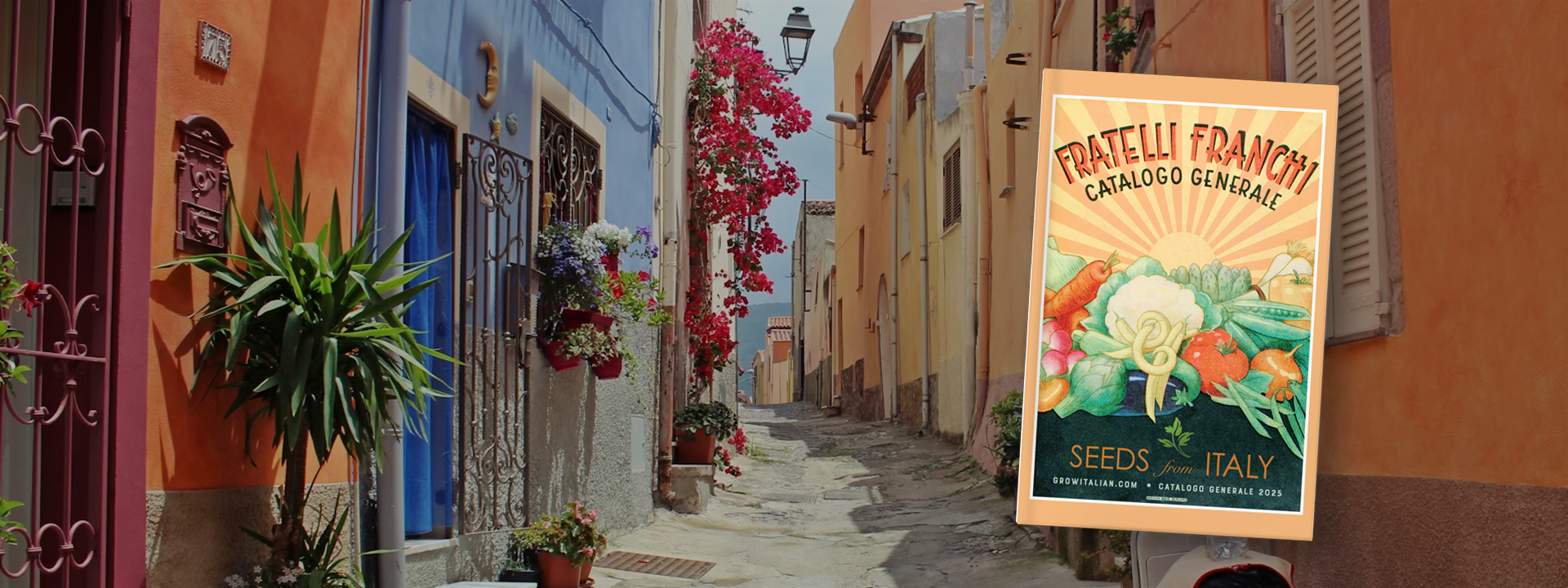 Seeds from Italy: Buy Heirloom Vegetables, Herbs & Flowers for Garden