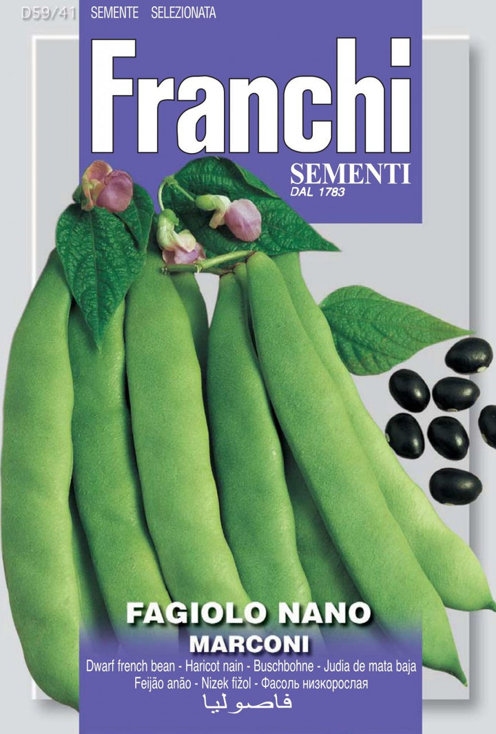 Italian Bean Seeds: Flat, Green, & Pole Varieties - Seeds from Italy