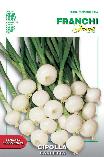 Onion Barletta (42-1) – Seeds from Italy