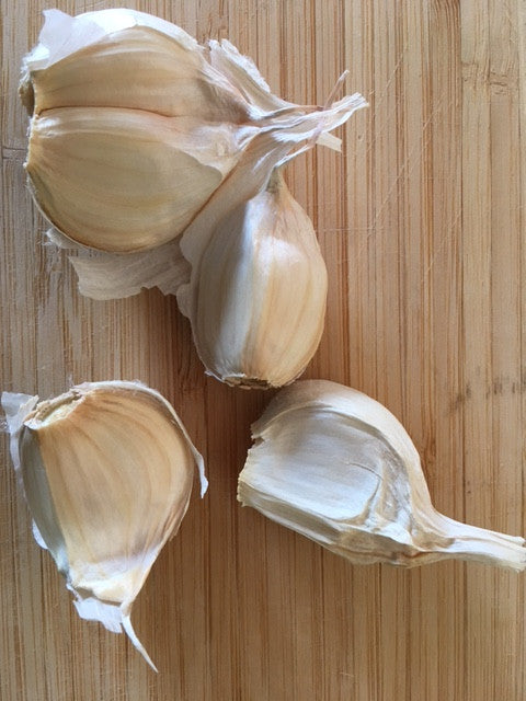 Garlic Lorz Italian Softneck – Seeds from Italy