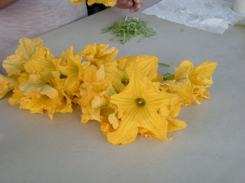 Italian Long Winter Squash Lunga di Napoli (145-12) – Seeds from Italy