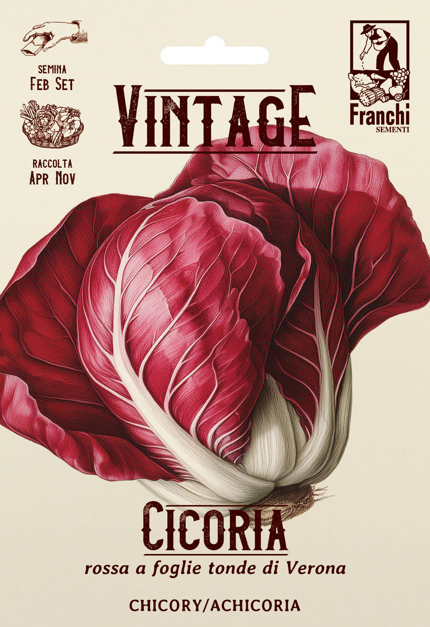 Vintage Radicchio a foglie tonde di Verona – Seeds from Italy