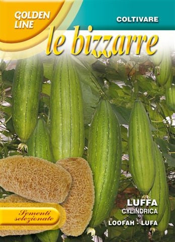 Luffa/ Loofah (87-40) – Seeds from Italy